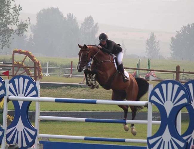 CWHBA auction working its online charm once again | Canadian Warmblood ...