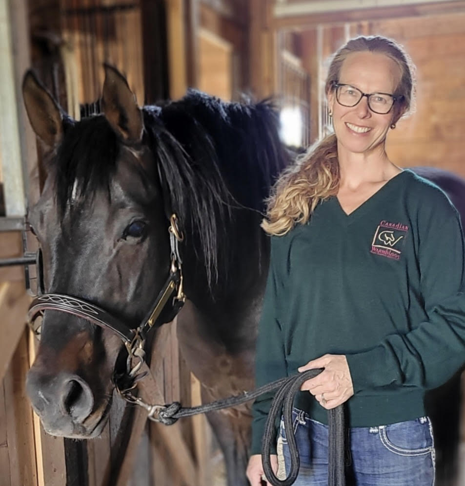 CWHBA Young Breeders Program | Canadian Warmblood Horse Breeders ...